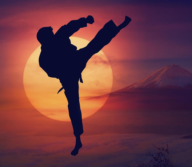 Our Classes – martialfit.in